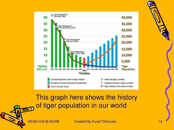 Tiger Population Throughout The Years