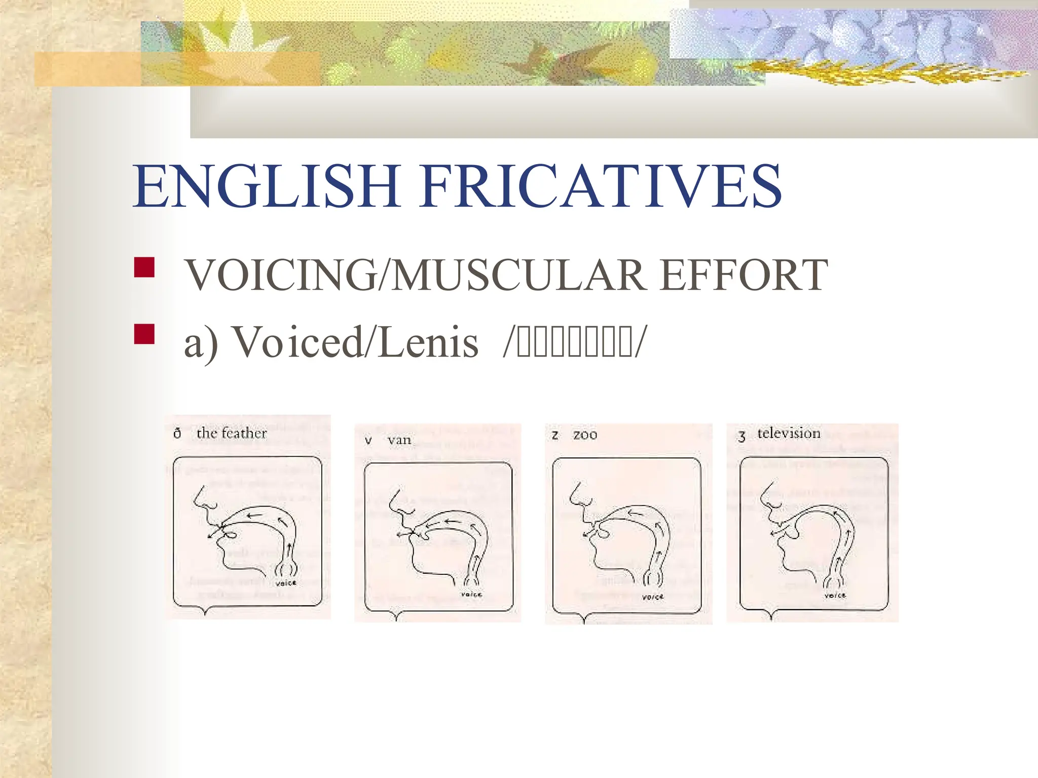 ENGLISH FRICATIVES A PART OF CONSONANT.ppt