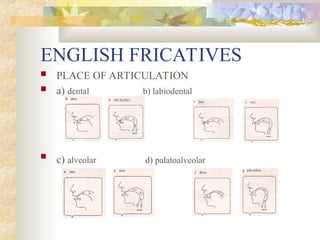 ENGLISH FRICATIVES A PART OF CONSONANT.ppt