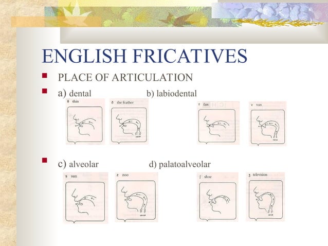 ENGLISH FRICATIVES A PART OF CONSONANT.ppt