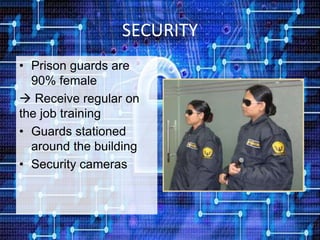 Prison system (Claire's group) | PPTX