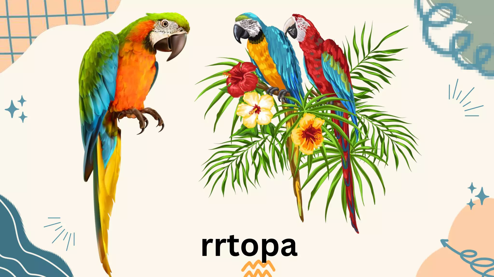 English Grade 2 Sight Words | PPTX