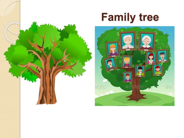 English Grade 5 Family relationships Unit 3 Values PPT.pptx | Genealogy ...