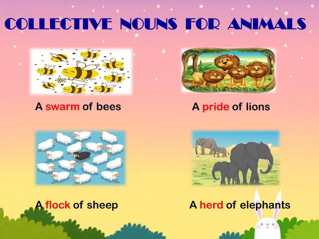 ENGLISH GRAMMAR - TYPES OF NOUNS PRESENTATION | PPT