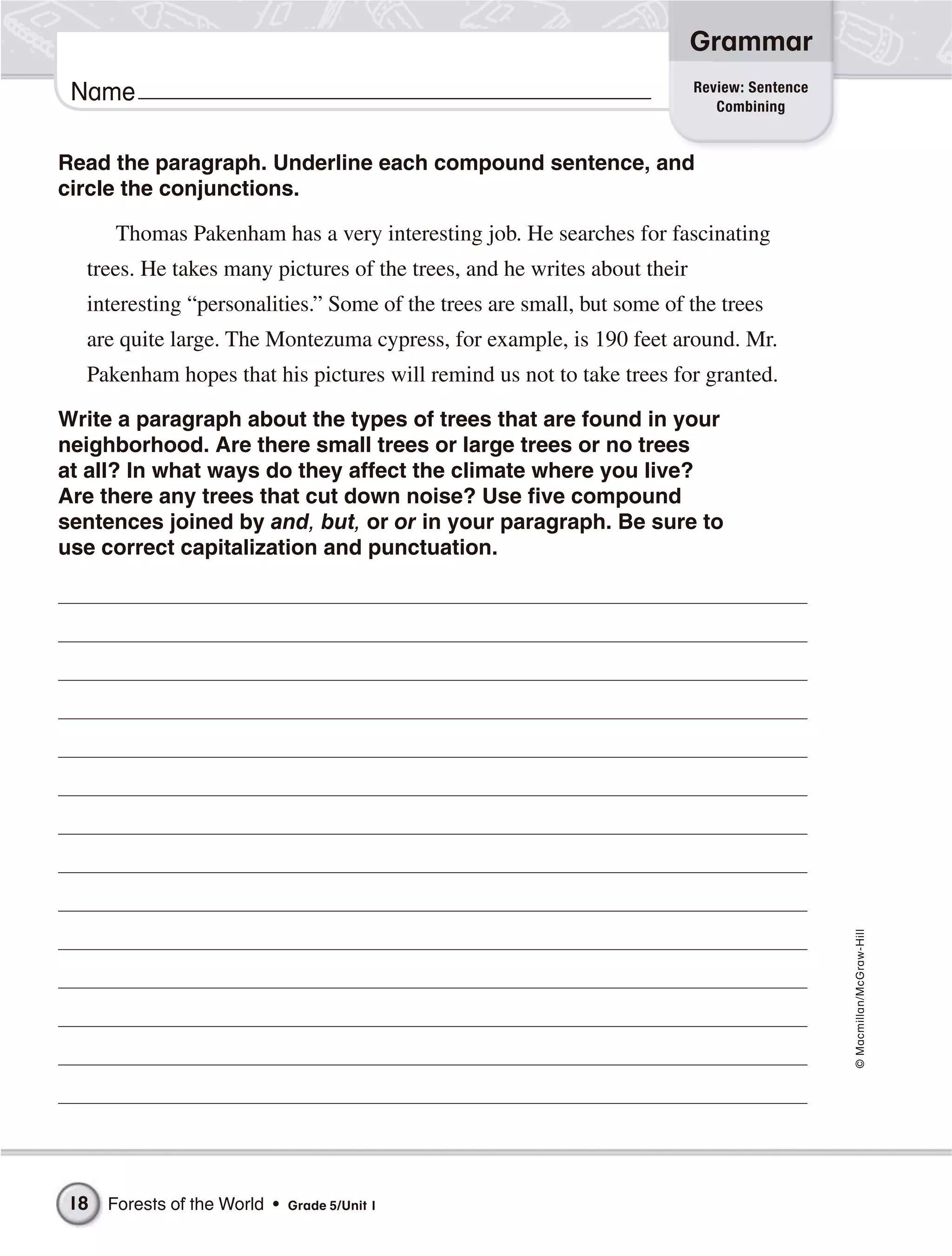 English grammar 5th grade | PDF