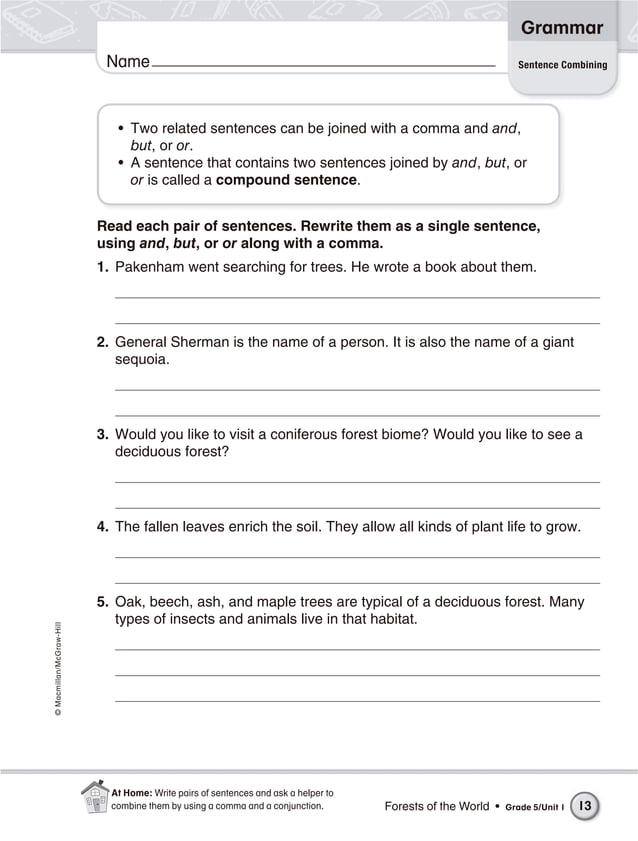 English grammar 5th grade