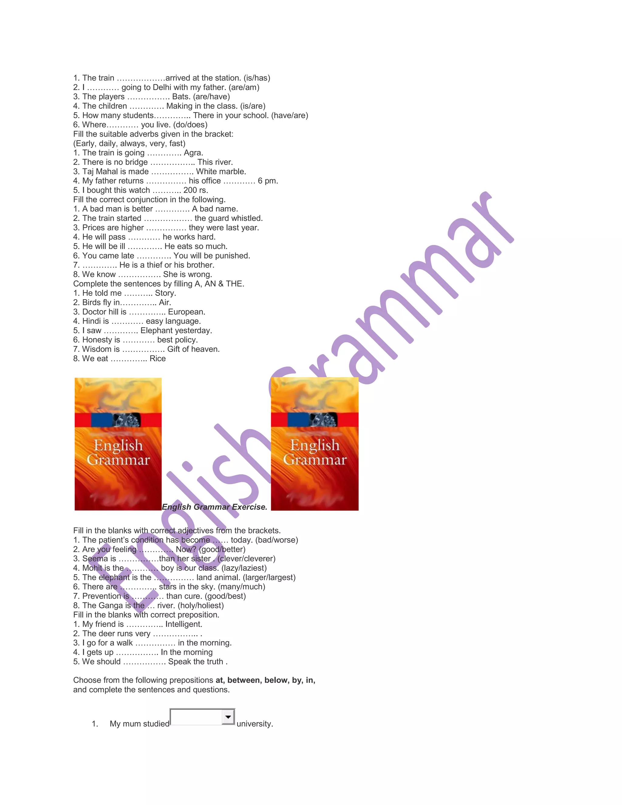 English Grammar Exercises(English Grammar Exercises) | PDF
