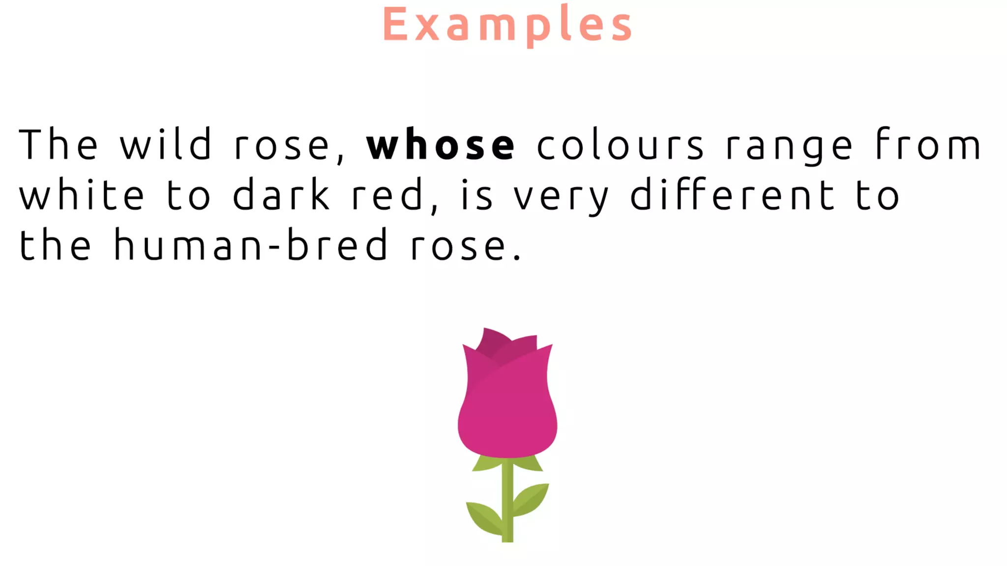 English Grammar Launch Advanced - relative clauses with 'whose' | PDF