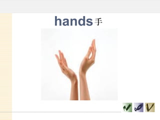 Here Are My Hands EFL Learning | PPT