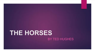 English horses | PPT