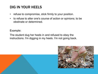 English idioms | PPTX