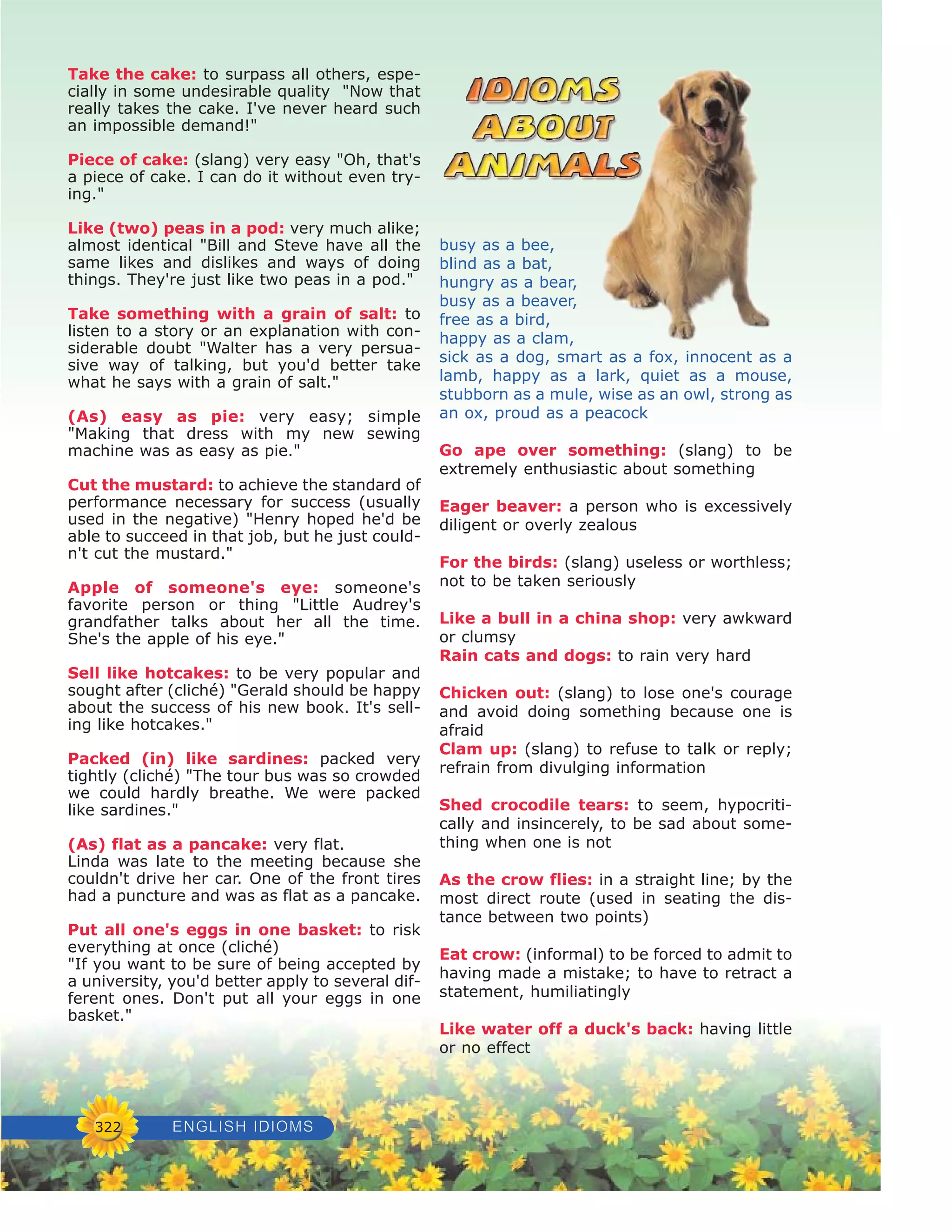 English idioms | PDF