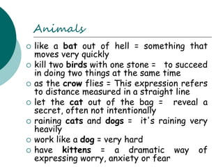 English idioms | PPT