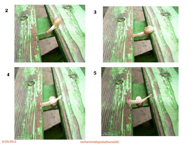 English is FUN & EASY | PPT