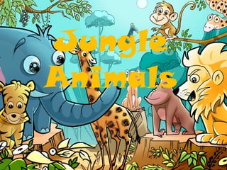 English Jungle | PPT