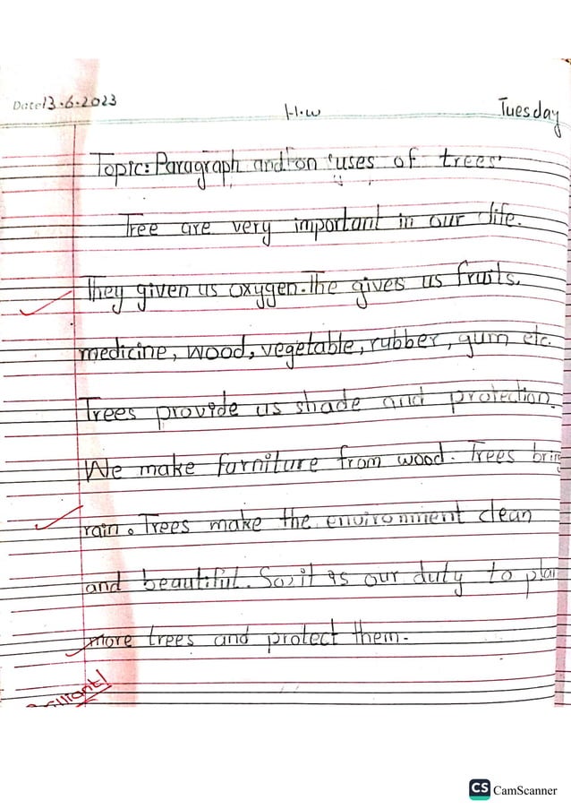 English language guide Grade 4.pdf