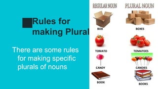 Professions and Rules for Making Singular/Plurals Lec 06 Sindh Board ...