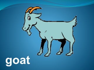 Goat Sound Effect Bah | atelier-yuwa.ciao.jp