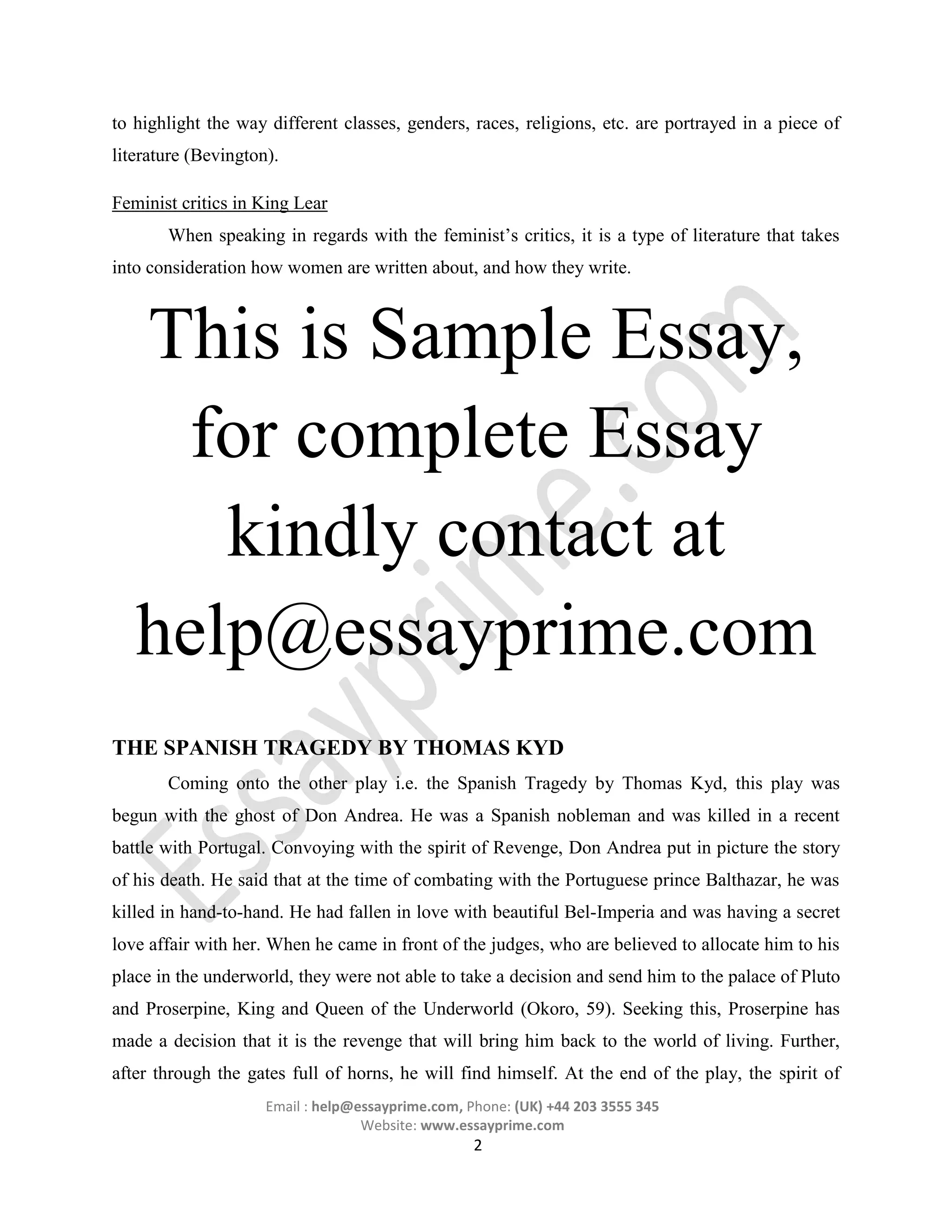 English Literature Essay Sample | PDF