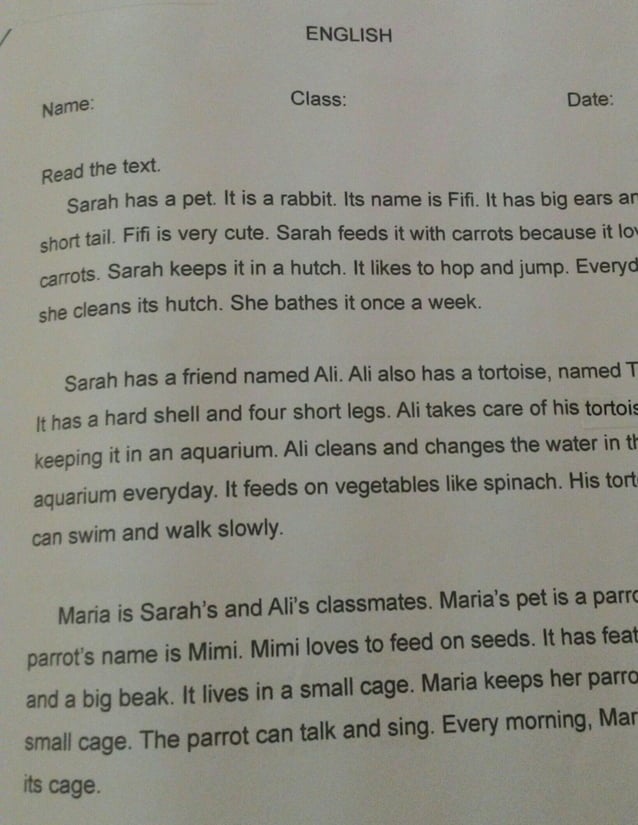 English lp year 3 reading | DOC | Primary Education | Education