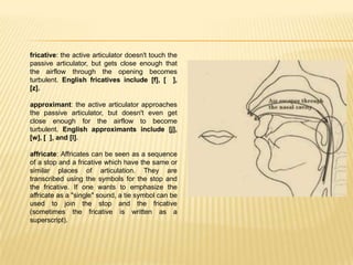 English manner articulation | PPTX