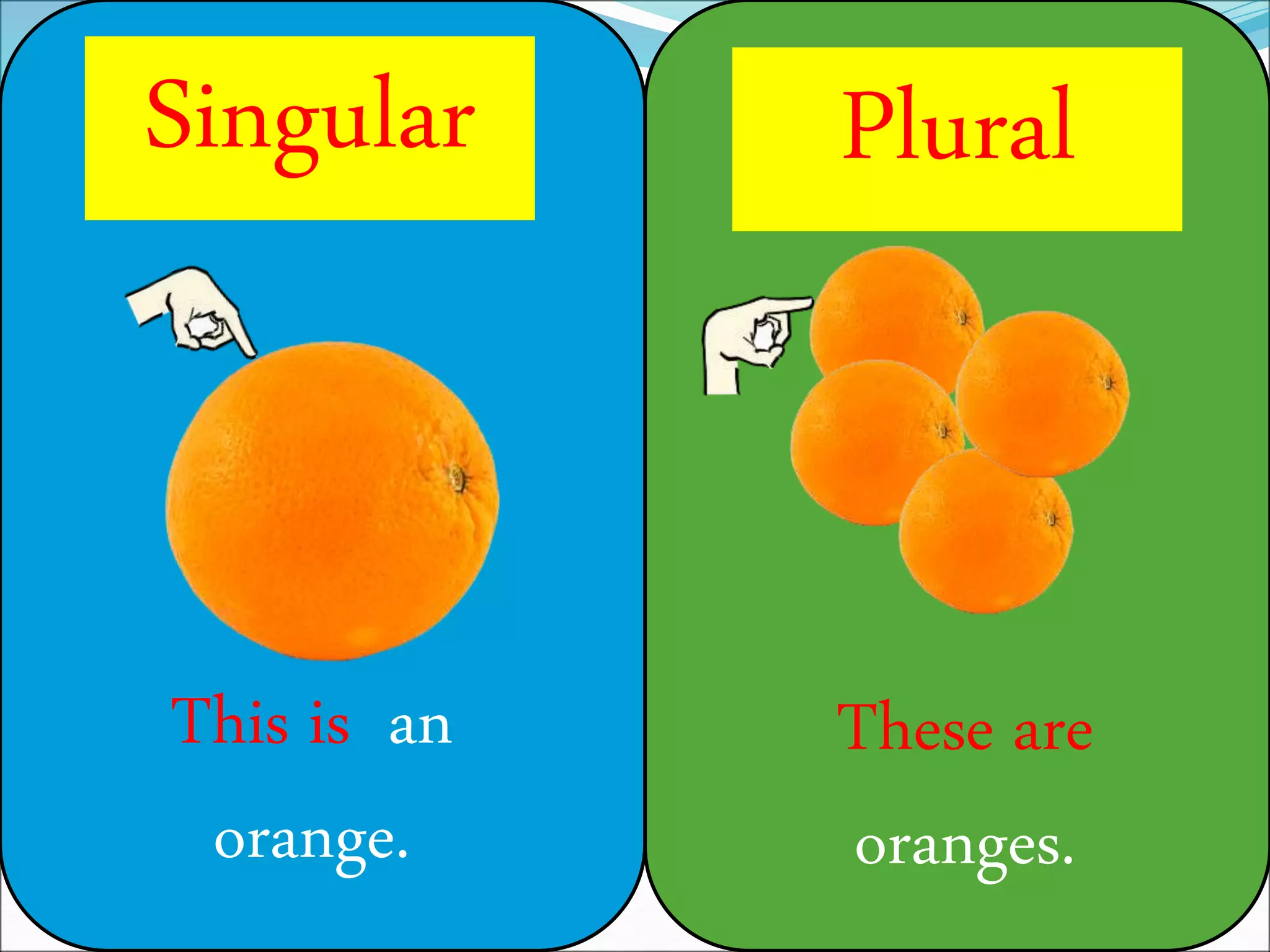 a, an,singular/plural, | PPT