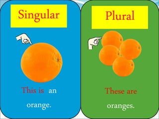 a, an,singular/plural, | PPT