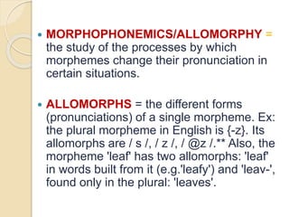 Morphology | PPT