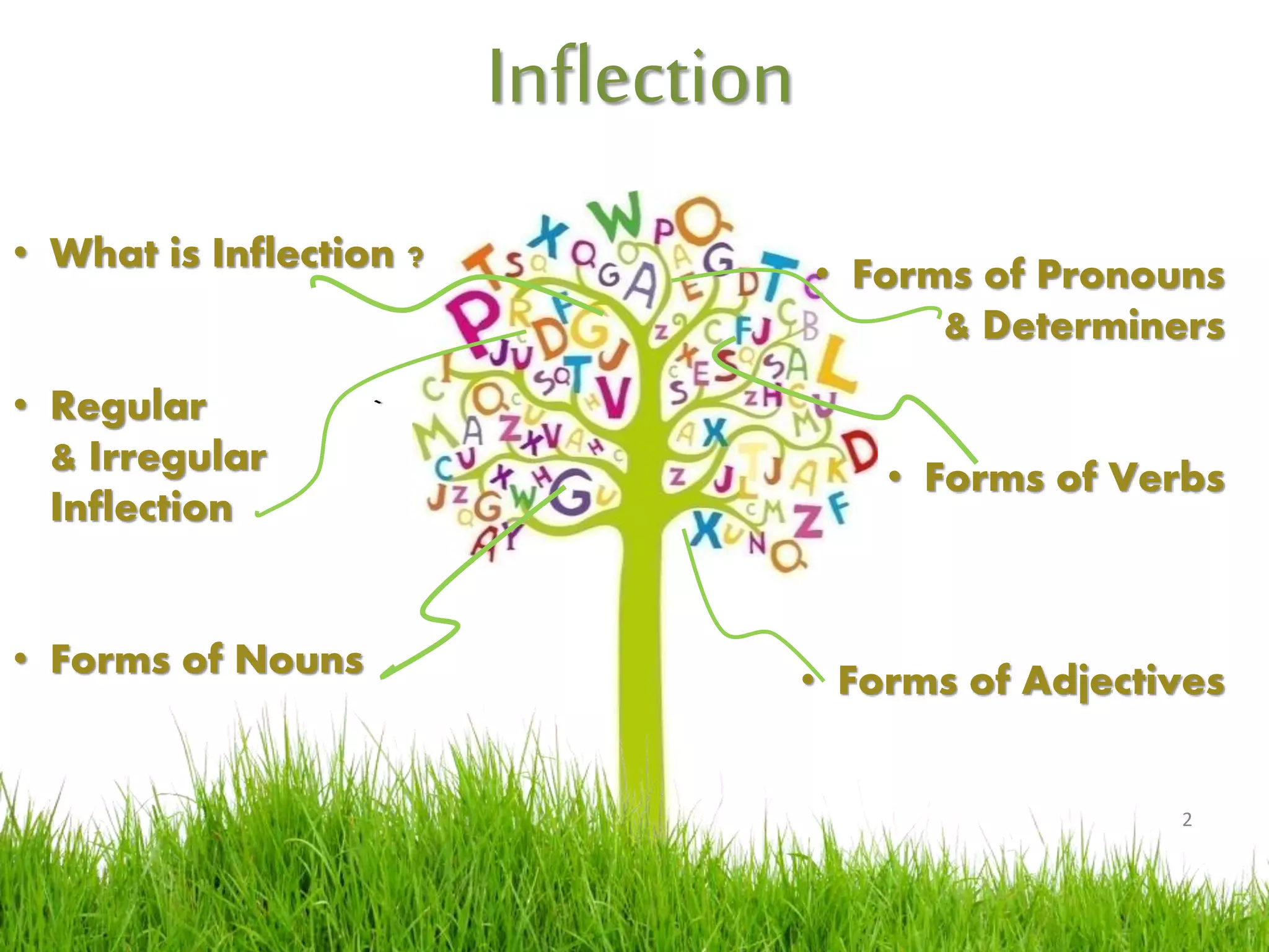 English morphology inflection | PPTX