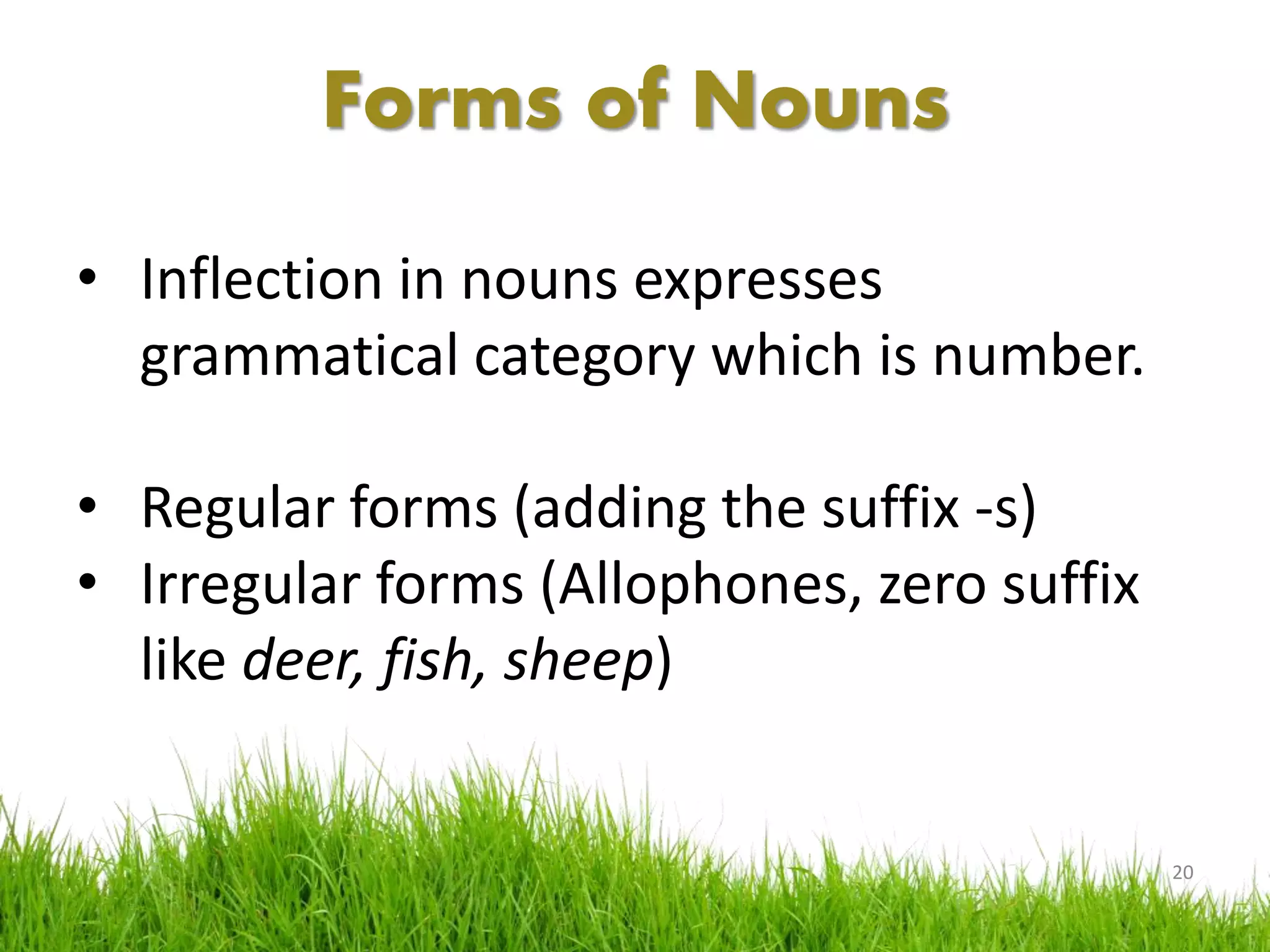 English morphology inflection | PPTX
