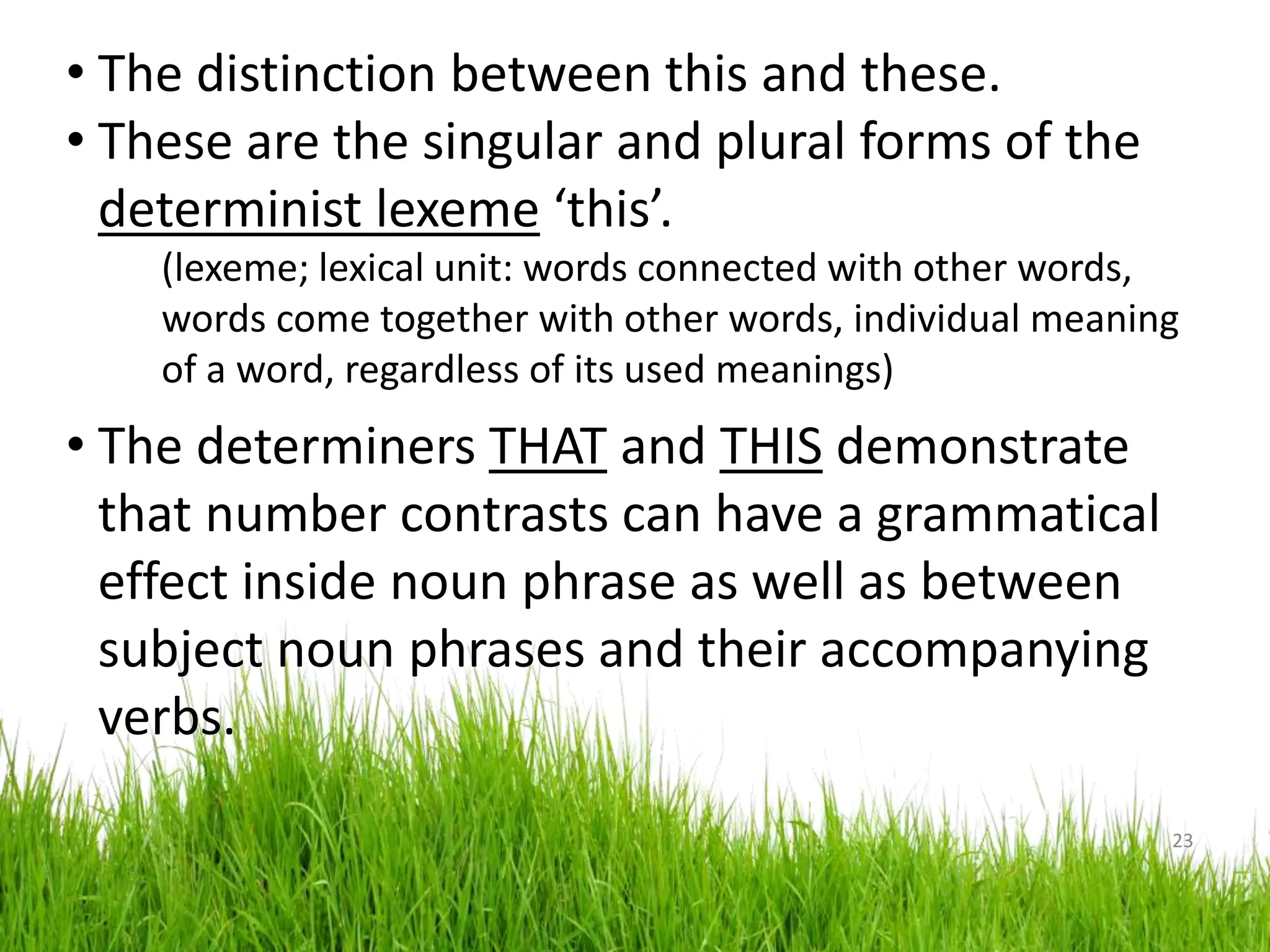 English morphology inflection | PPTX