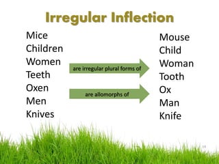 English morphology inflection | PPTX