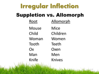 English morphology inflection | PPTX