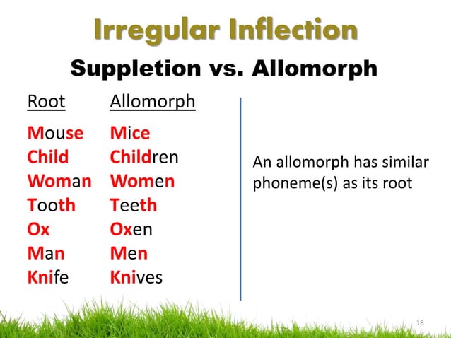 English morphology inflection | PPTX | Geology | Science