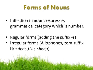 English morphology inflection | PPTX