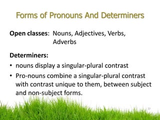 English morphology inflection | PPTX