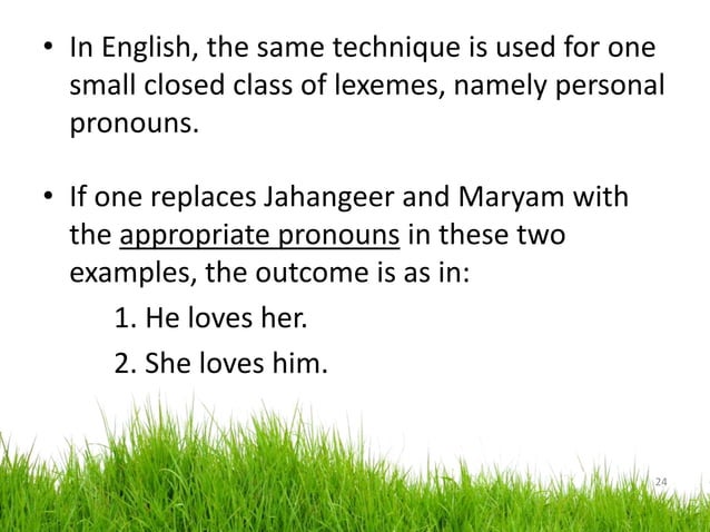 English morphology inflection | PPTX | Geology | Science