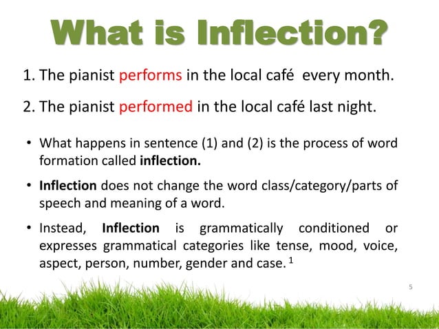 English morphology inflection | PPTX | Geology | Science
