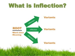 English morphology inflection | PPTX