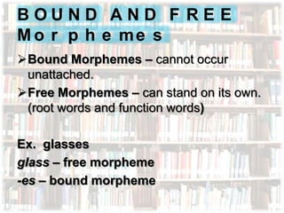 English morphology, introduction (AdeS) | PPTX