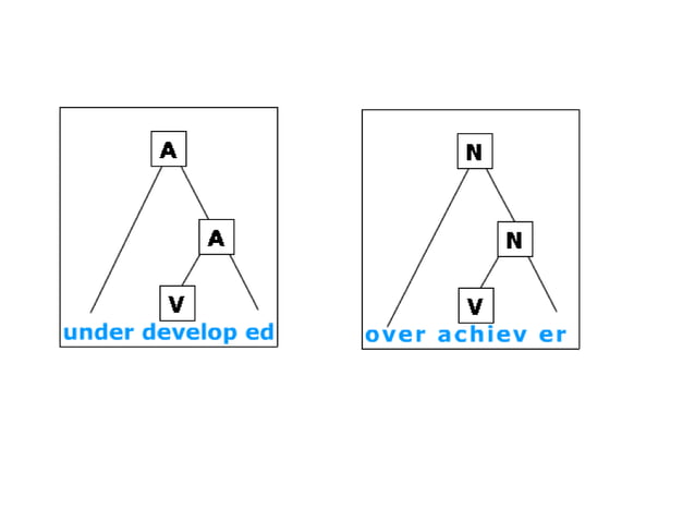 English morphology–lecture2 | PPT