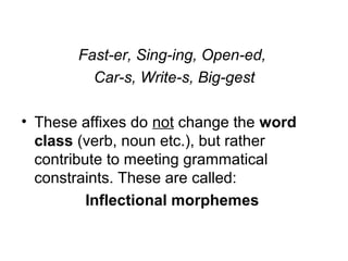 English morphology–lecture2 | PPT