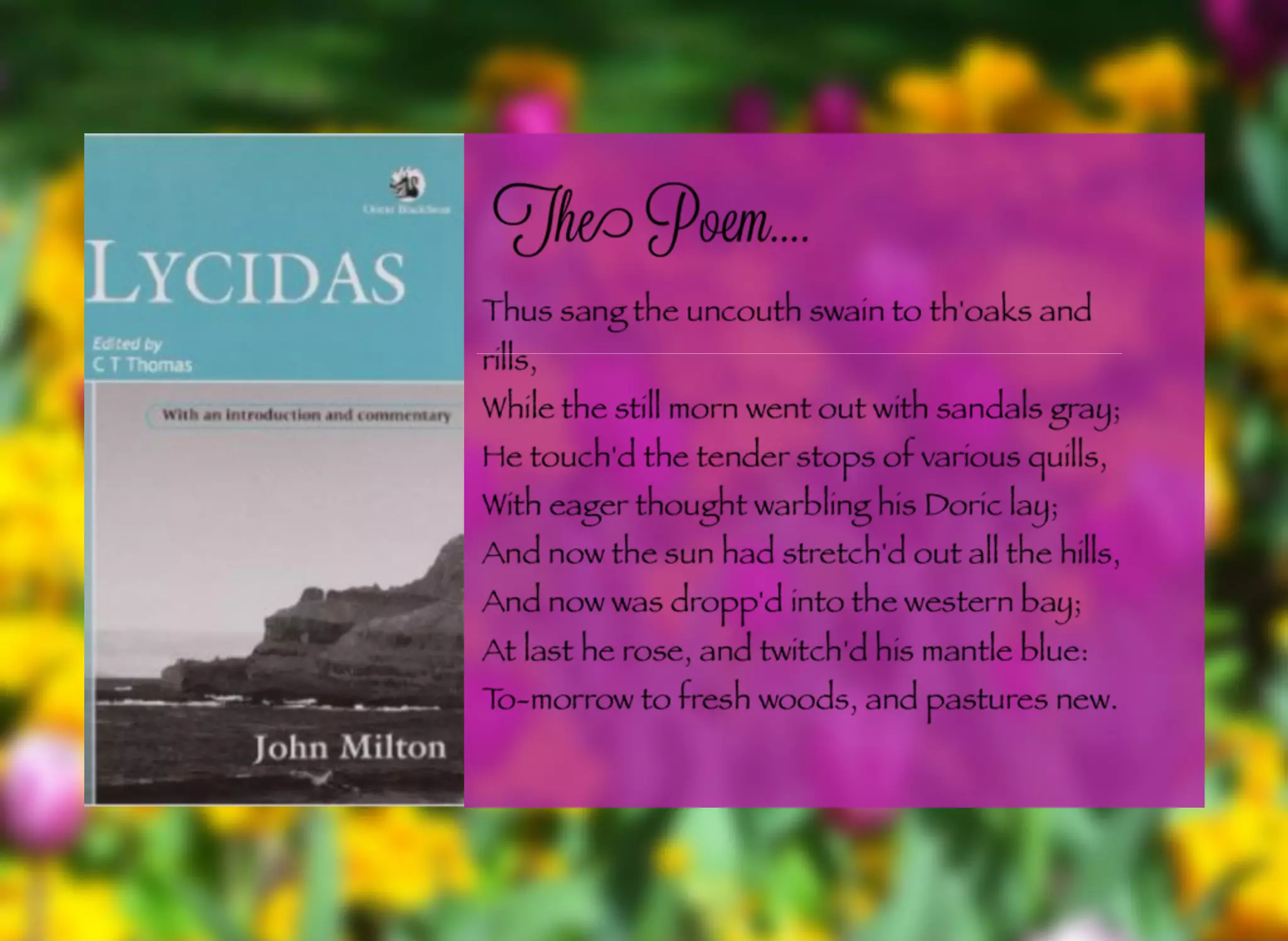 Lycidas by John Milton | PDF