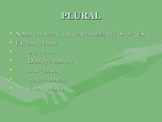 English Noun Plural | PPT