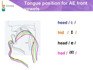 English Phonetics | PPT