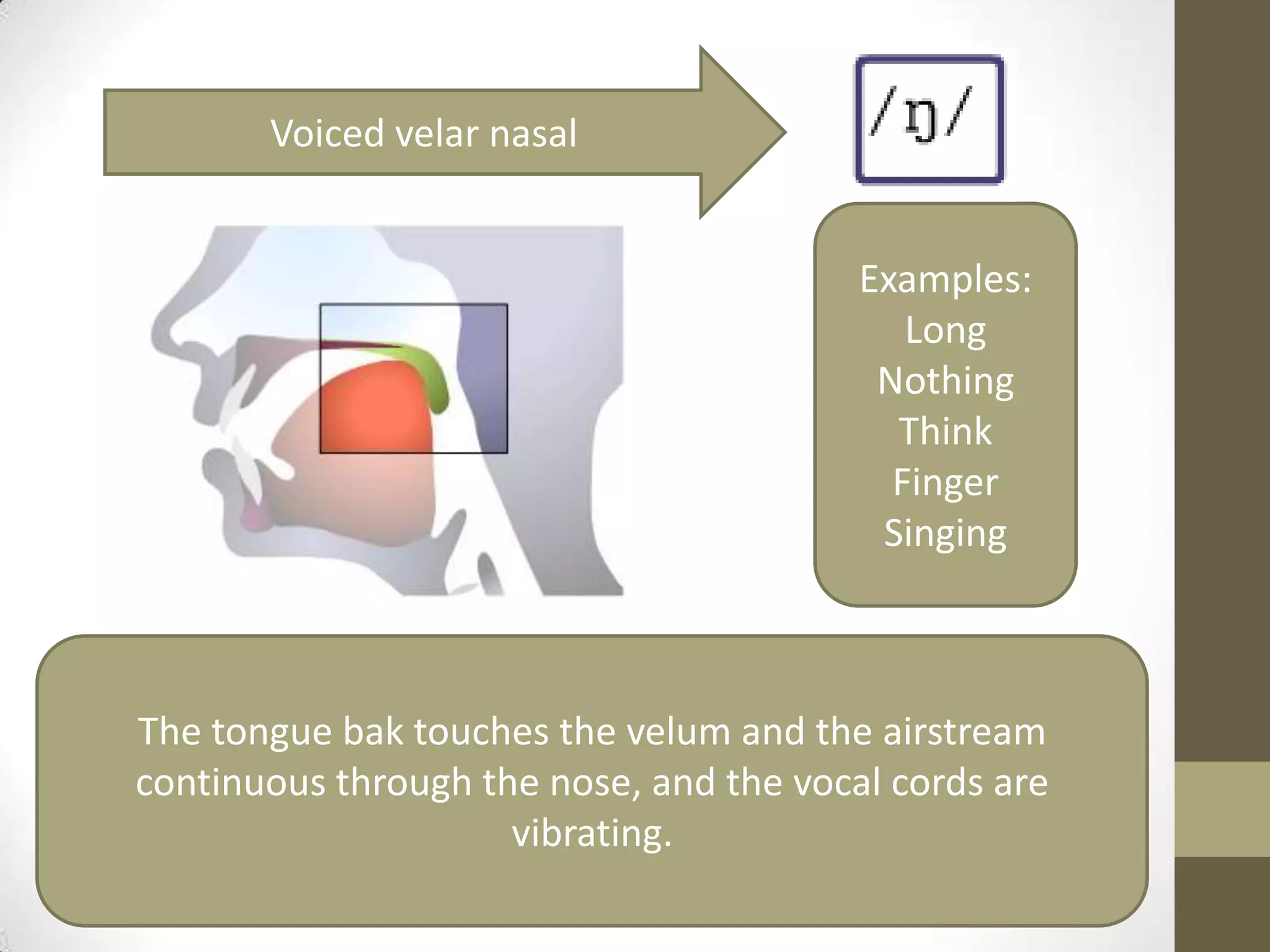 English phonetics | PPTX