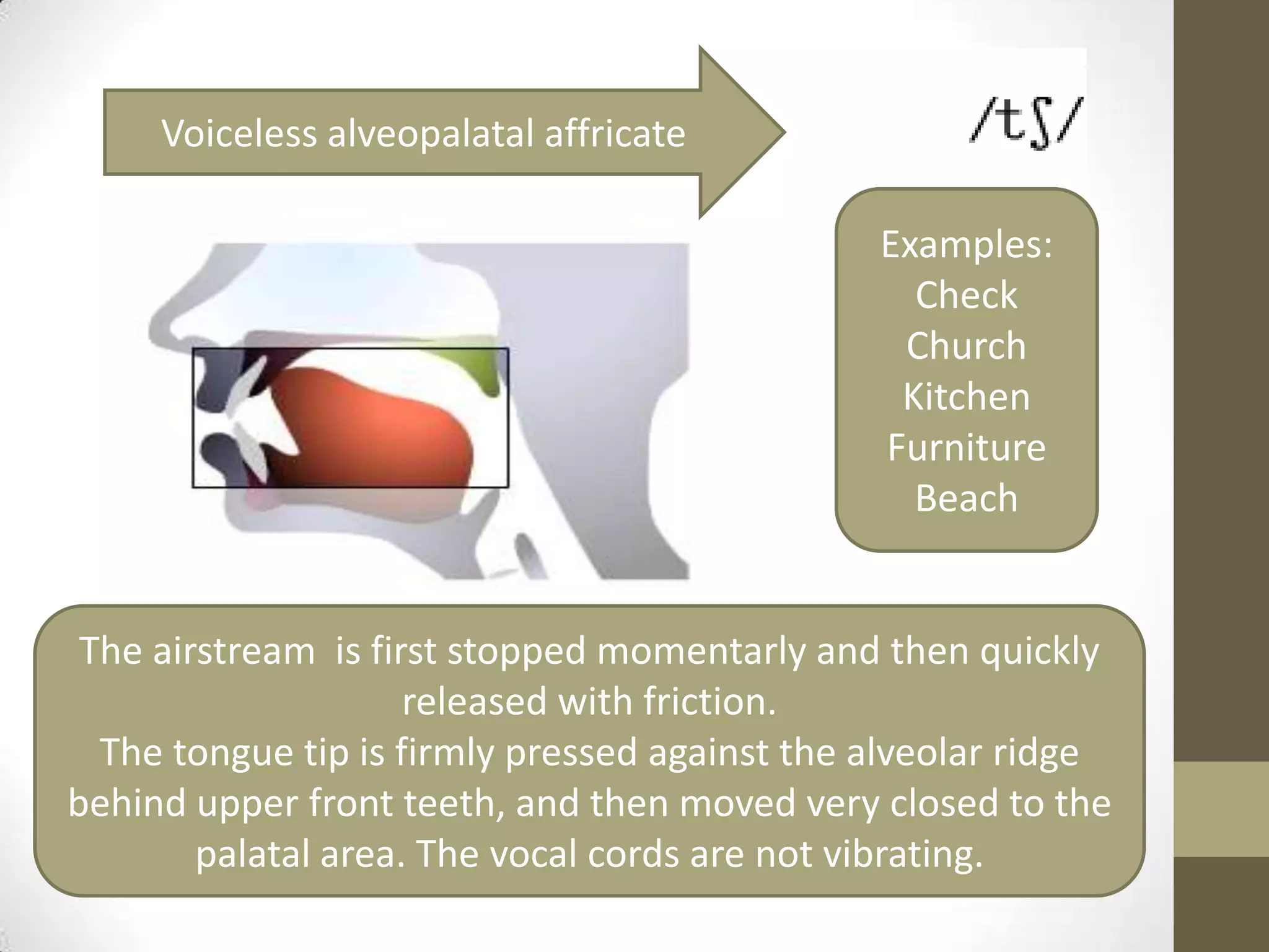 English phonetics | PPT