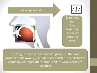 English phonetics | PPT
