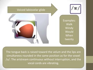 English phonetics | PPT