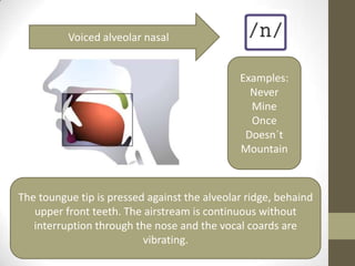 English phonetics | PPT